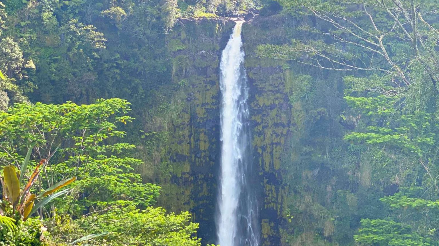 Everything You Need To Know BEFORE Going to Hilo