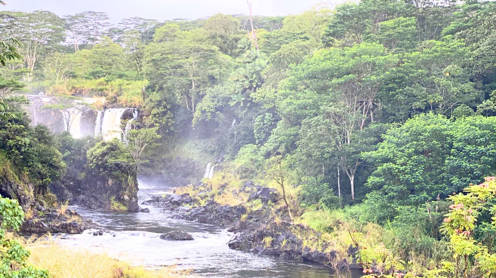 Everything You Need To Know BEFORE Going to Hilo
