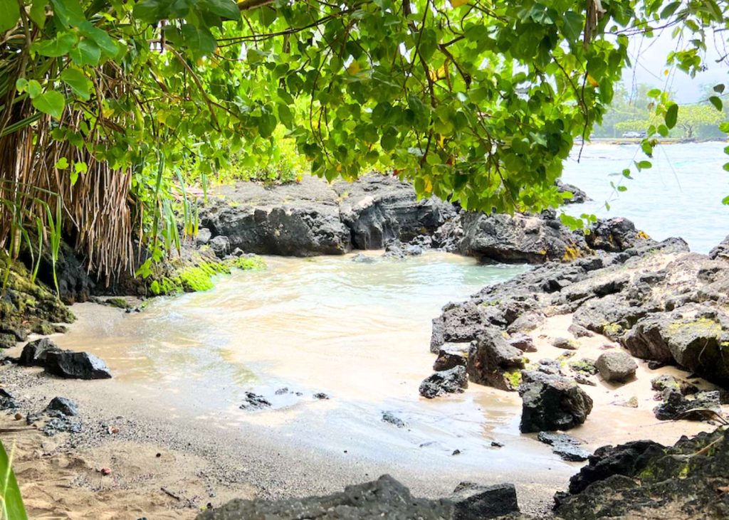 What You Need to Know About Onomea Bay Trail - Hi Big Island