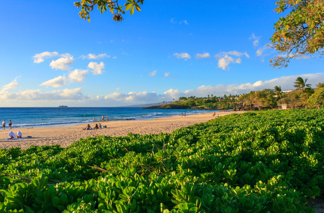Hapuna Beach - Hi Big Island