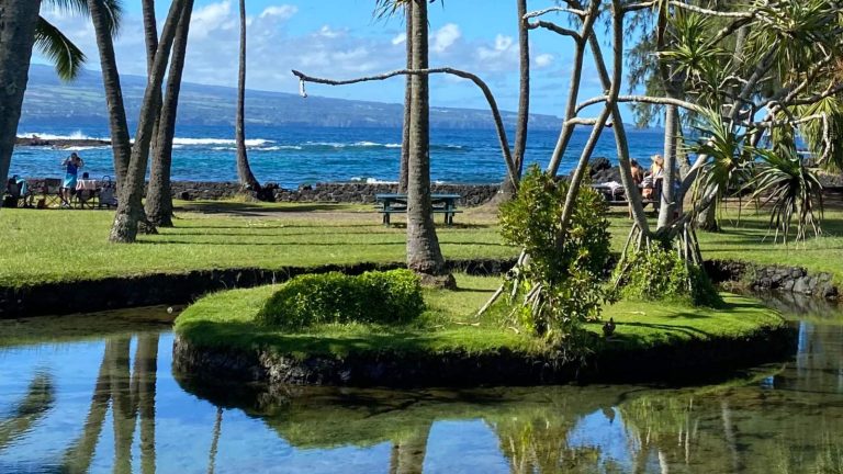 Everything You Need To Know BEFORE Going to Hilo