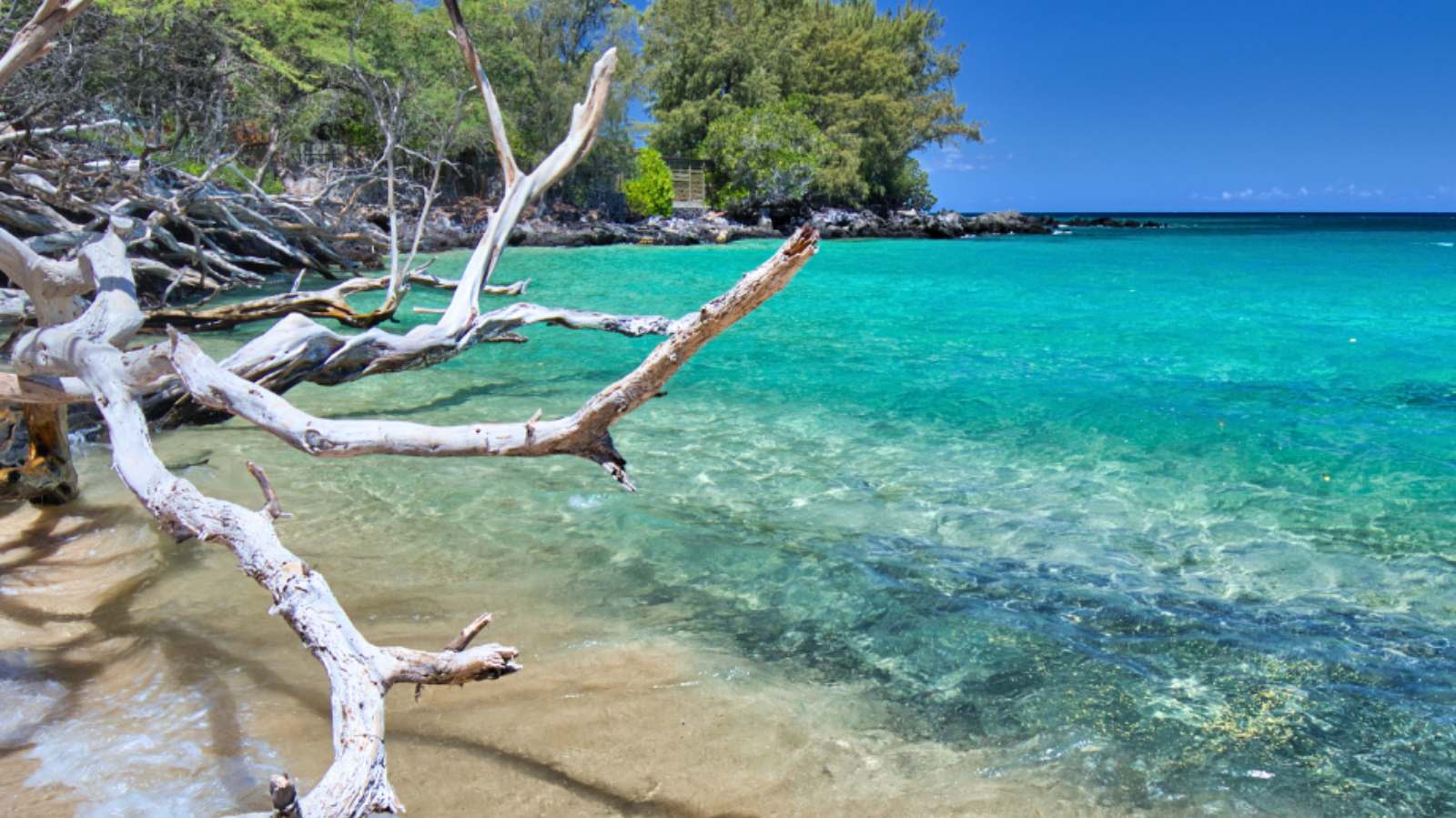 26 Most Popular Beaches in Big Island Hawaii - Hi Big Island