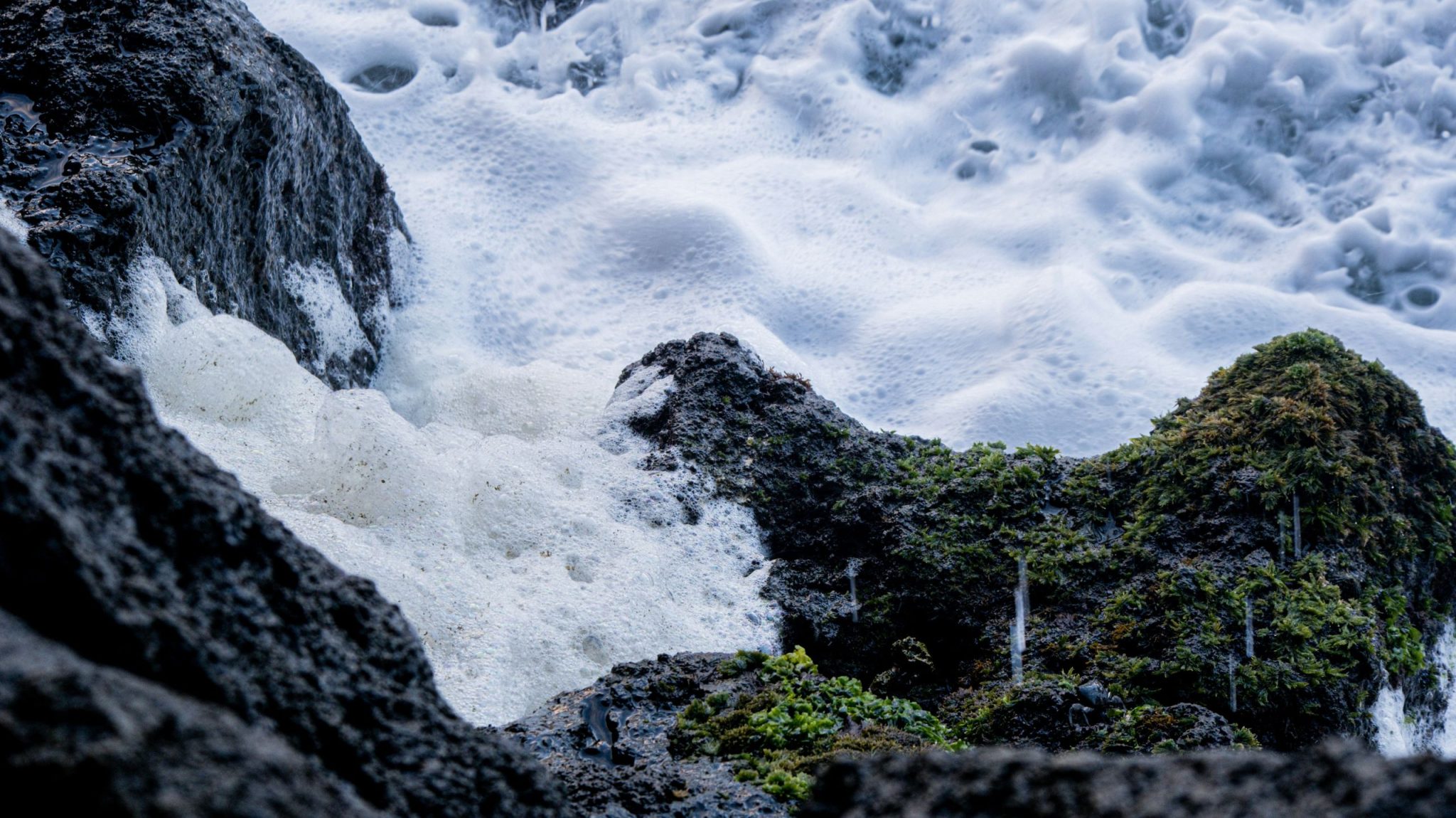 What You Need to Know About Onomea Bay Trail - Hi Big Island