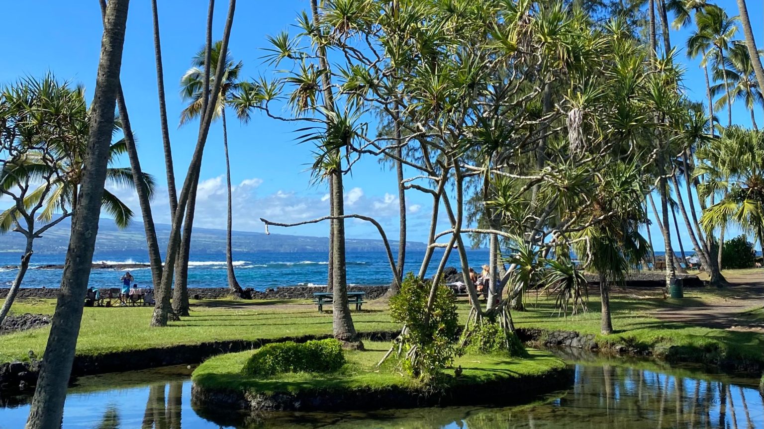 Everything You Need to Know About Saddle Road on the Big Island - Hi ...